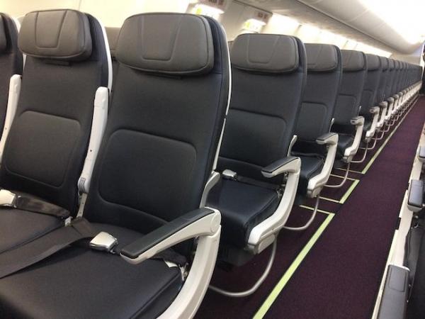 ELeather offers more lightweight sustainable material for aircraft ...